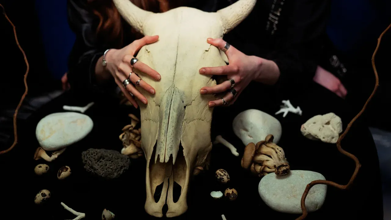 Eclectic Magic: From Folk Magic to Parlor Tricks