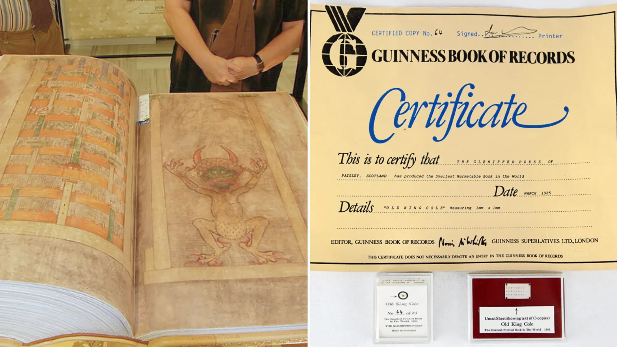 Popular Libraries in Fiction and How to Create Them