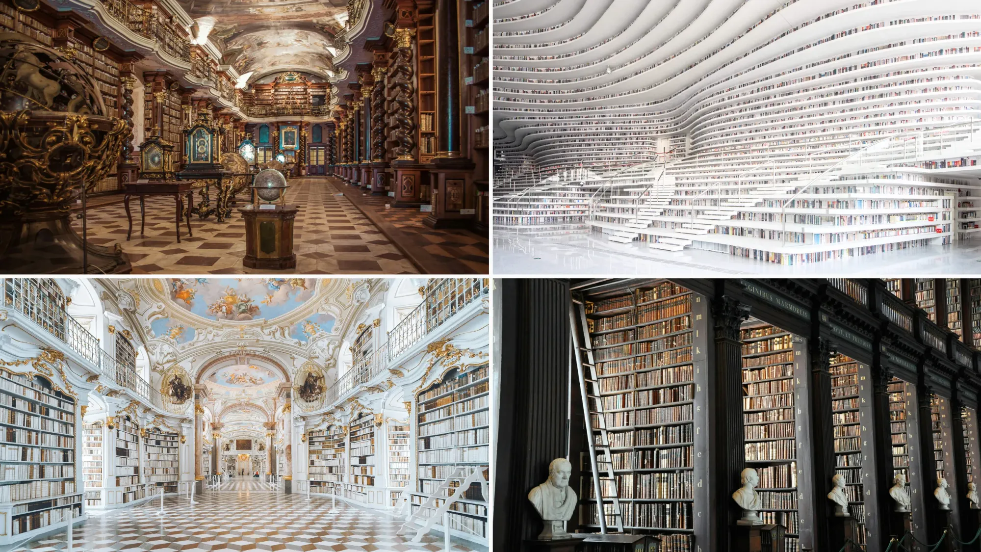 Popular Libraries in Fiction and How to Create Them