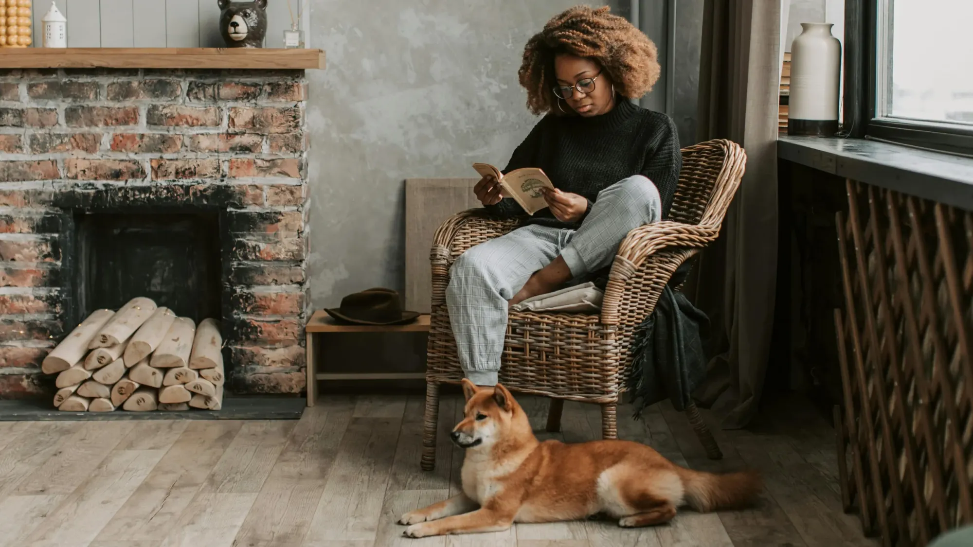 Sugar, Spice, and Everything Nice: The Elements of a Cozy