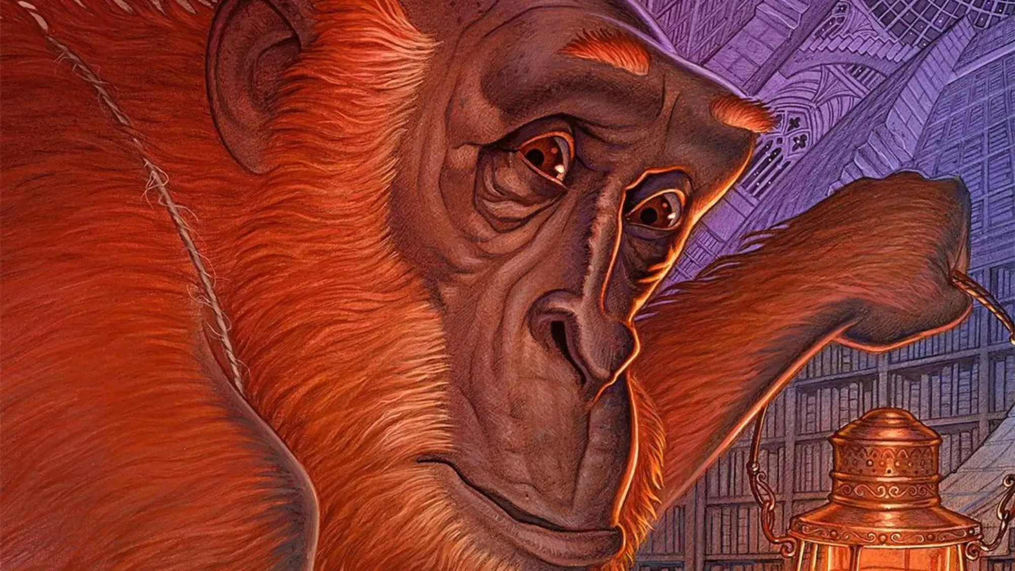 Popular Libraries in Fiction and How to Create Them