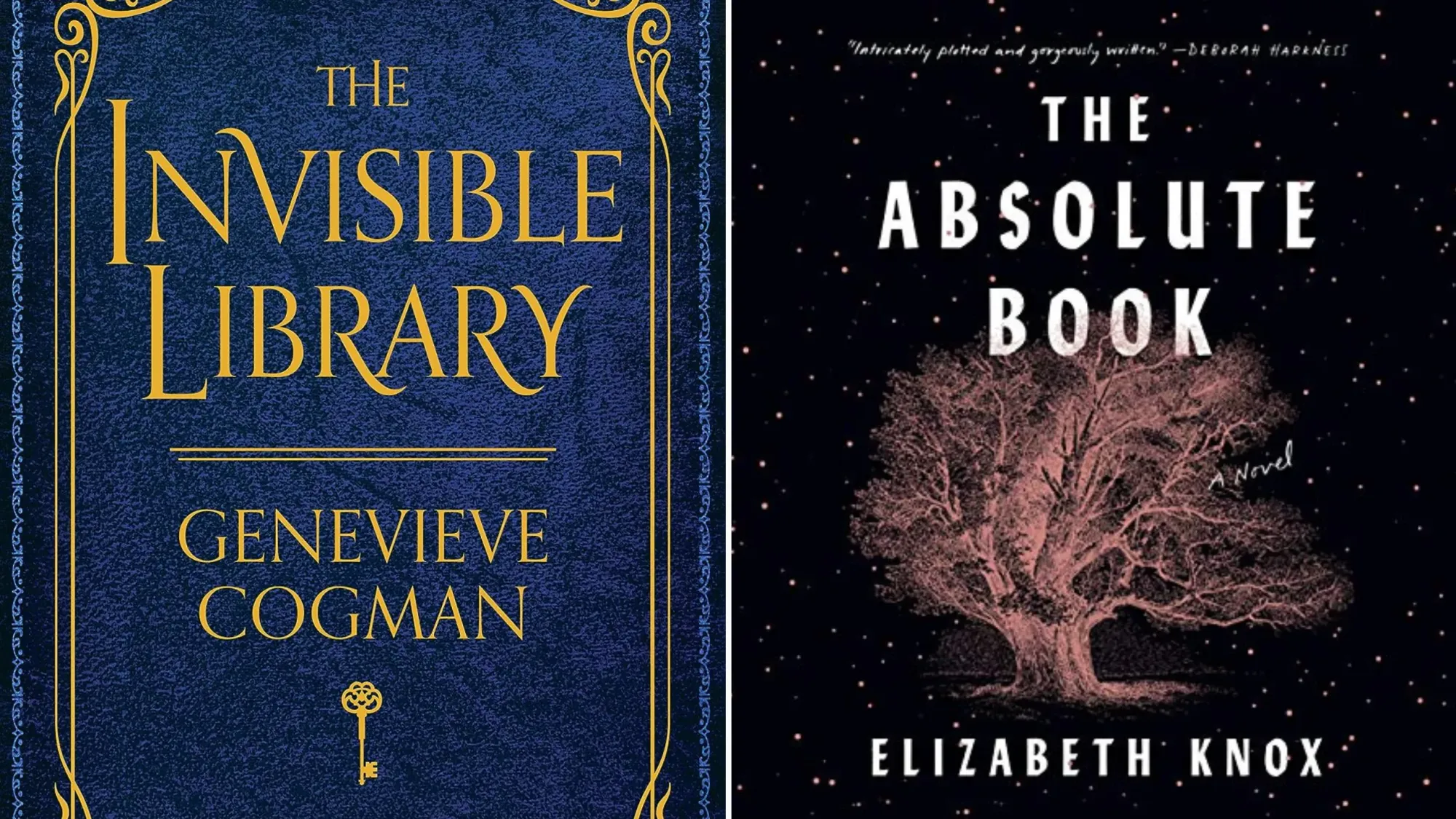 Popular Libraries in Fiction and How to Create Them