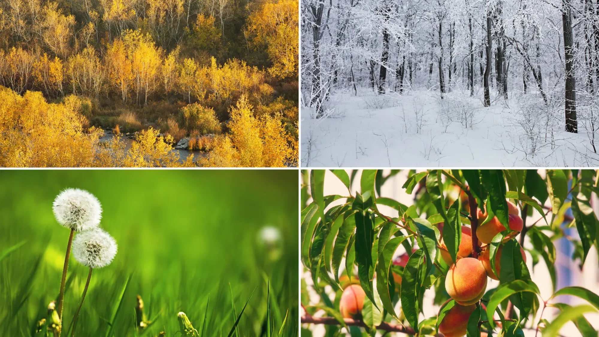 Watching the Clock: How to Write About Time in Fiction