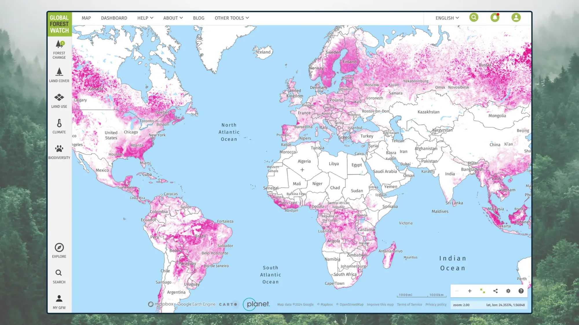 Fantasy Landscapes: Diverse & Enchanted Forests